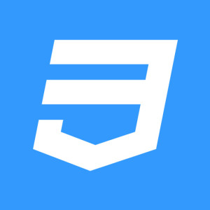 CSS3 Vinyl Sticker - Just Stickers : Just Stickers