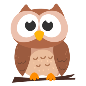 Owl Sticker - Just Stickers : Just Stickers